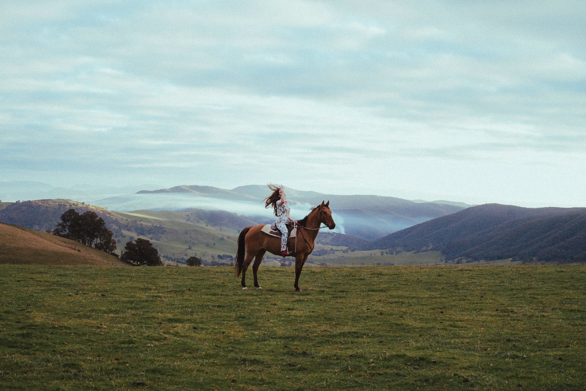 FOUR YEARS OF FALLOW – The Fanny Store